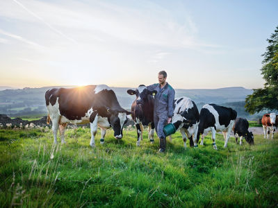 Tackling emissions beyond our operations