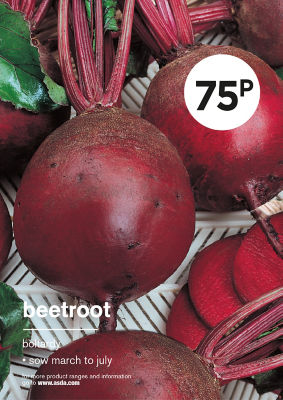 ASDA Grow Your Own Beetroot Vegetable Seeds - ASDA Groceries