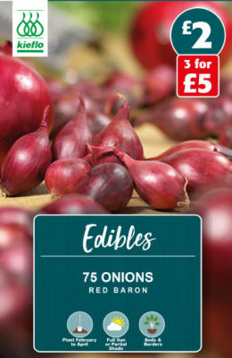 Kieflo Red Baron Onion Seeds - ASDA Groceries